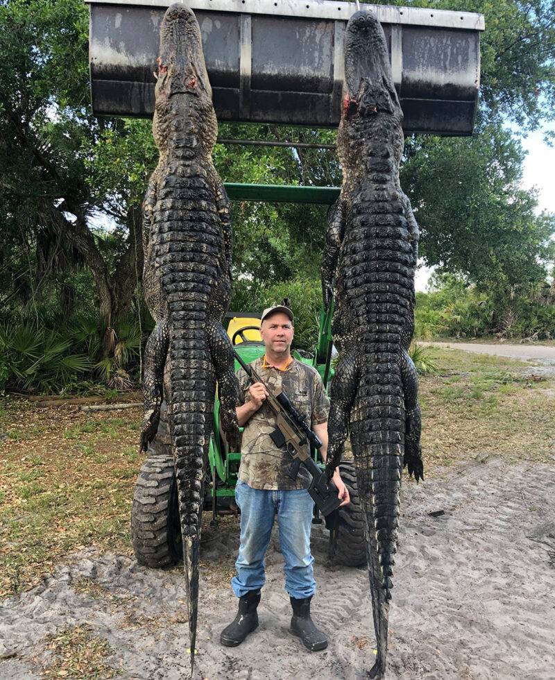 Alligator Hunts in Florida | Seminole Prairie Safaris