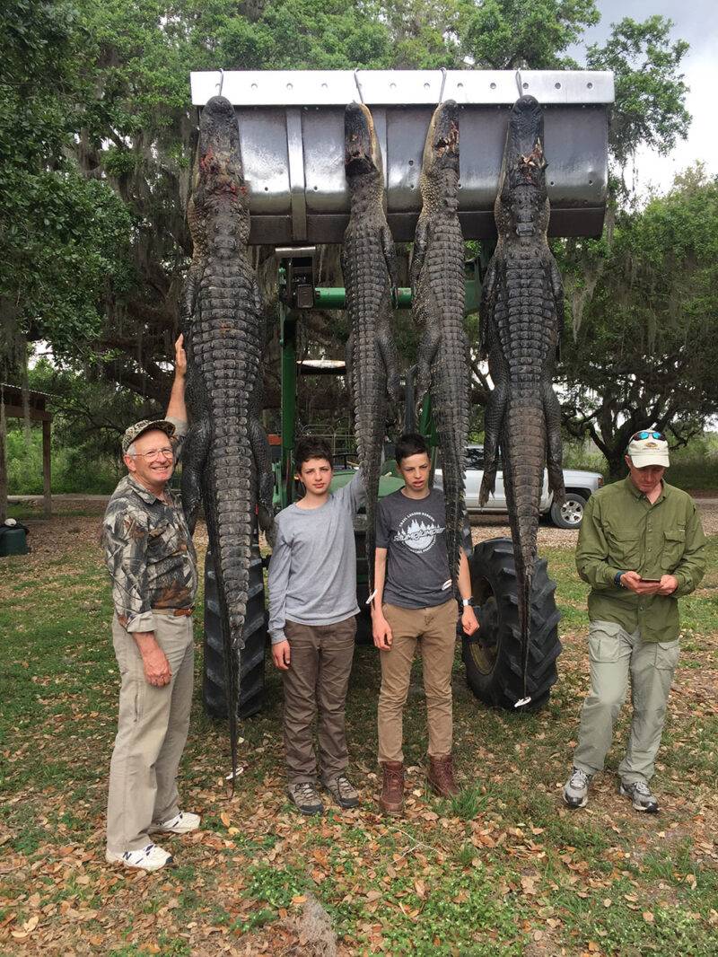 Alligator Hunting Photos in Florida | Seminole Prairie Safaris