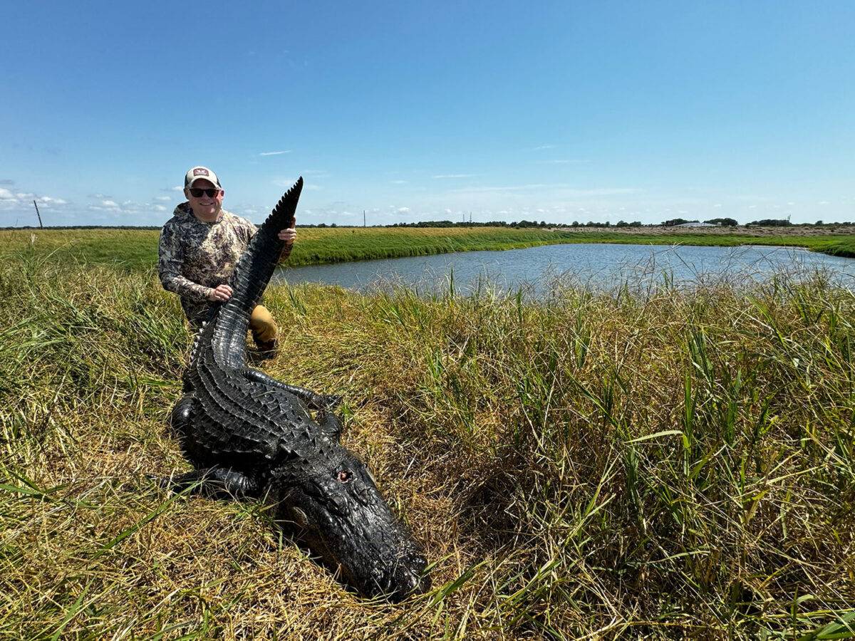 Alligator Hunting Photos in Florida | Seminole Prairie Safaris